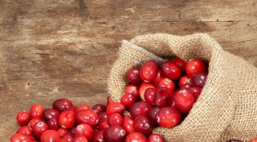 Meno Inageuka kuwa cranberries husaidia kudumisha ufizi wenye afya. Madaktari wa meno kutoka idara ya Chuo Kikuu cha Paris waliweza kudhibitisha kuwa matumizi ya kila wakati ya cranberries, au juisi ya cranberry, inalinda dhidi ya ukuzaji wa periodontitis na magonjwa mengine yasiyofurahi ya cavity ya mdomo.