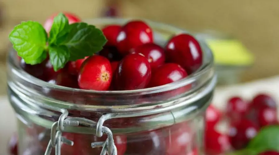 Vijana wa Berry Cranberries ni matajiri katika antioxidants ambayo yana athari nzuri kwa hali ya ngozi na viungo vya ndani. Hii ni aina ya dawa ya ujana: haupaswi kutarajia mabadiliko mazuri, lakini haupaswi kuogopa mikunjo ya mapema pia.