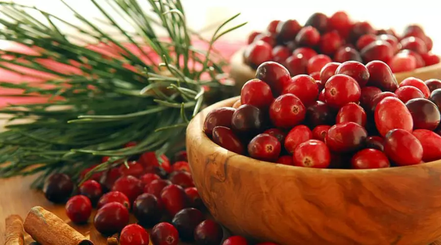 Kundërindikimet Por produkti mrekulli ka kundërindikacionet e veta. Simplyshtë thjesht e pamundur të hani boronicë çdo ditë, pasi ajo në mënyrë shumë aktive nxjerr kripën nga trupi. Provoni të bëni pushime tre-ditore nga dieta e boronicës, kështu që do të mohoni të gjitha disavantazhet e kësaj kokrra të kuqe të egër.