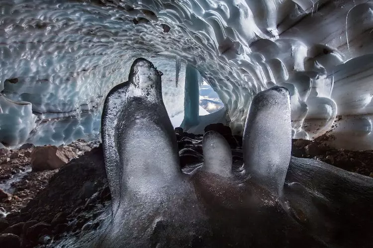 Pemetaan Gua Paling dhuwur saka stalagmit iki dhuwuré 35 cm. Watu ing sisih kiwa ing sisih mburi nuduhake tandha jeruk sing digunakake kanggo peta labirin. McGregor lan Cartayay minangka sing pertama kanggo peta sistem guwa sing udakara rong kilometer. Sayange, saben taun dikurangi 30 meter amarga gerakan gletser lan longsor.