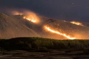 Yon tren kraze nan yon forè tou limen nan dife: videyo temwen