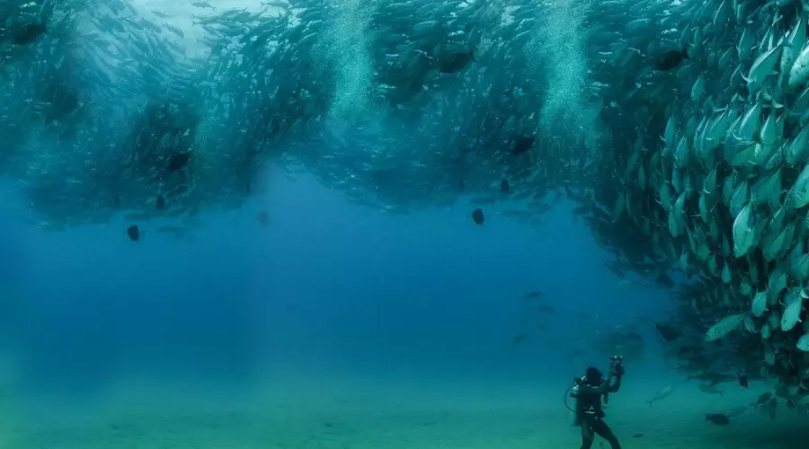 Was das Big Blue Hole mit den Informationen über eine lange Dürreperiode zu tun hat, haben Wissenschaftler allein aufgrund der Analyse von Gesteinen aus dem Big Blue Hole erhalten. Wie oben erwähnt, ist es die gleiche Doline wie die anderen auf der Halbinsel Yucatan.