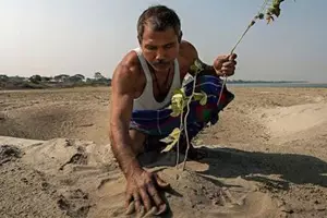 Mereka menyebutnya gila: seorang Hindu menghabiskan seluruh hidupnya menanam pohon di padang pasir