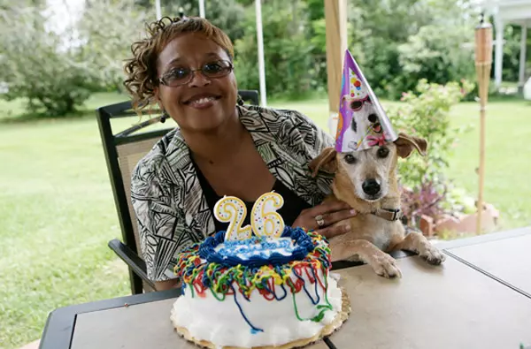 Dog Max, 29 anos e 282 días En 2013, o terrier Max estableceu o récord de lonxevidade. O can viviu 29 anos e 282 días. Max converteuse no primeiro can do mundo que non viviu só un par de meses ata os 30 anos. O can foi inmortalizado no libro dos récords Guinness.