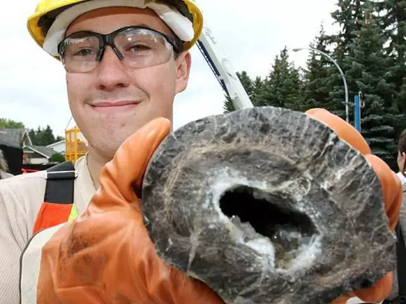 Fòssil de dinosaure Es va trobar un fòssil de dinosaure de 70 milions d’anys en un túnel de clavegueram el 2010, al Canadà. Més tard, un paleontòleg de la Universitat d'Alberta va confirmar que l'os de dinosaure fossilitzat pertanyia a parents llunyans del tiranosaure.