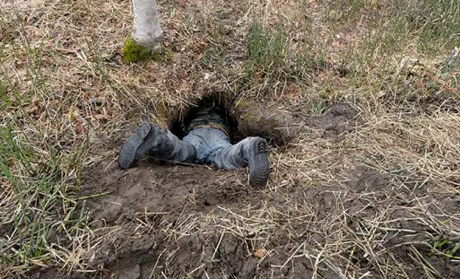 Jak vypadá medvědí doupě zevnitř