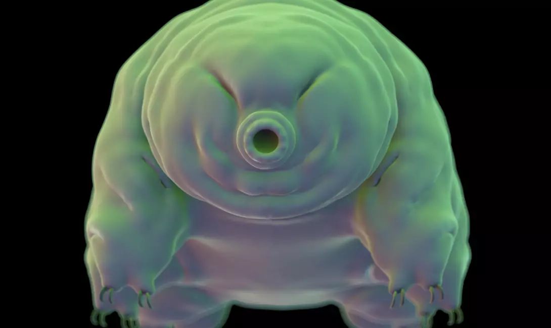 Tardigradide surematuse saladus