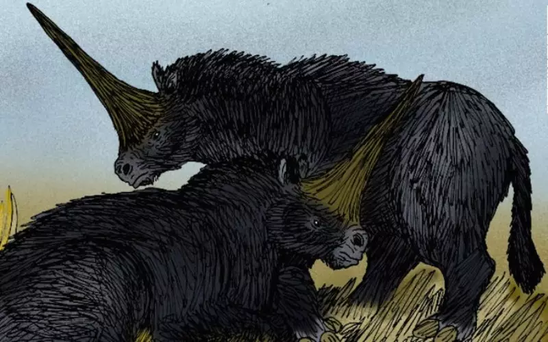 Dekouvèt la fè pati syantis ki soti nan Tomsk State University. Yo rapòte ke yo te jwenn yon pati nan zo bwa tèt la nan yon Rinoseròs (Elasmotherium sibiricum), yon bèt fosil ki te rete nan Ewazi, nan Kazakhstan nan vilaj la nan Kozhamzhar. Apre yo fin fè analiz radyokarbon, paleontolog yo te jwenn ke bèt la te viv kèk 26 mil ane de sa, se sa ki, li kenbe aparans nan Homo sapiens. Byen bonè, Rinoseròs la Elasmotherium te konsidere kòm disparèt 350 mil ane de sa.