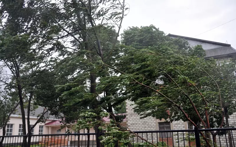 Wyn In hurde eastewyn wiist wierskynliker op in driigjende tongerbui, wylst in westewyn goed waar belooft. Yn 't algemien, hoe sterker de wyn, hoe tichter de stoarm: sterke wyn ferskynt fanwegen it grutte ferskil yn atmosfearyske druk.