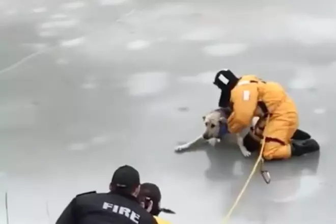 Vatrogasni heroj riskirajući svoj život spašavajući psa na tankom ledu