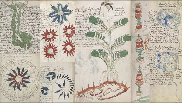 voynich-коллаж-pic905-895x505-95001