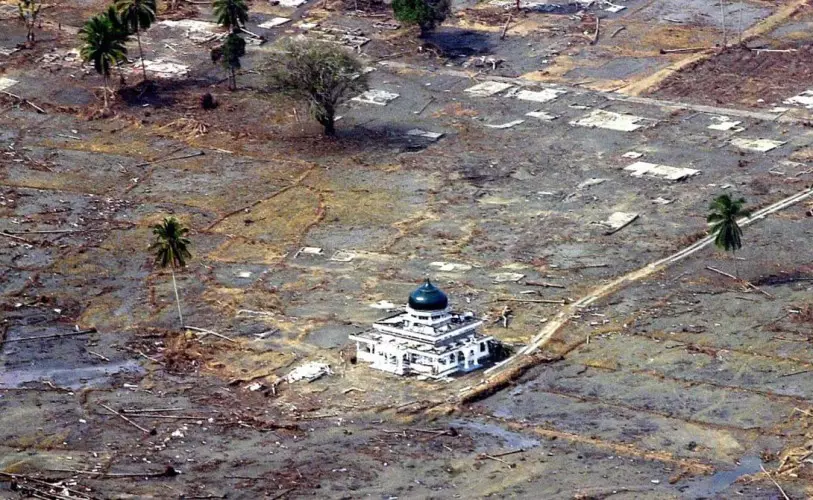 Sistema de alerta Cada año ocurren más de 3 millones de terremotos. Un número gigante, ¿verdad? Afortunadamente, la mayoría de ellos no representan un peligro para la humanidad. Para los más grandes, hemos aprendido a usar datos sismológicos con tanta precisión que ya podemos predecir el impacto en unas pocas semanas o incluso meses.