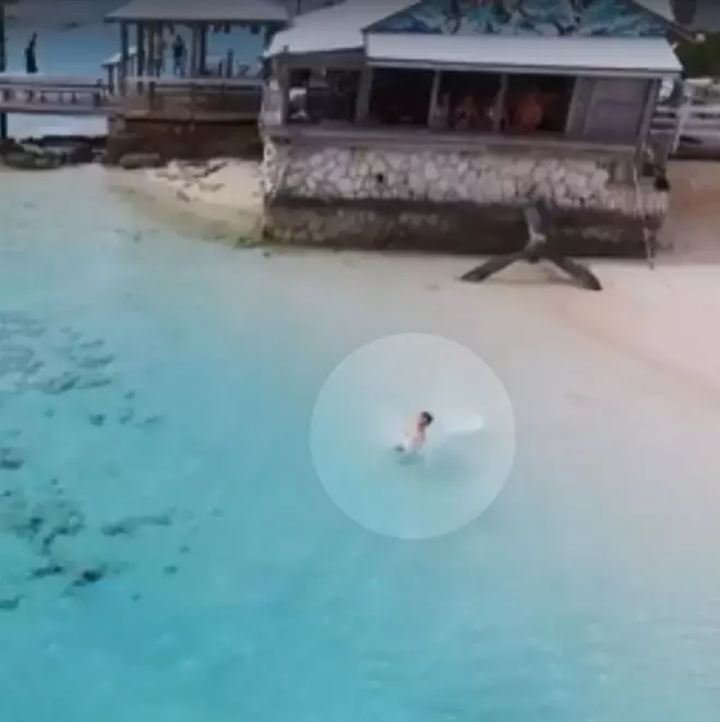 Sharks almost ate the child, but the drone operator saved him in time