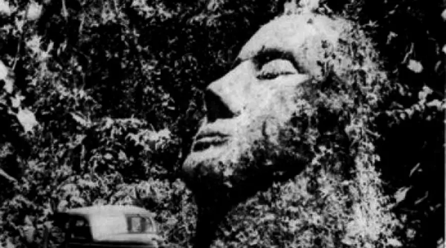 Stone Head 在 1930 年代，研究人員發現了一個巨大的砂岩雕像。她站在危地馬拉叢林的中央，酷似瑪雅石雕。事實上，它是一個細長的頭骨，五官很小，就像歷史書上的一樣。科學家得出的結論是，這件神器不是一個人的圖像，因為它有一個更先進的人的跡象，與創建時居住在美國的人完全不同。有些人認為頭部是位於地下的巨大結構的一部分。惡作劇的觀點也很普遍。不幸的是，現在無法查明真相——在一次革命中頭部被毀壞了。