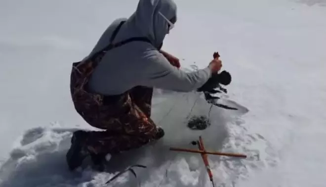 El pescador quedó muy sorprendido por su pesca. ¿Cómo podría quedar atrapado un pato en el hielo?