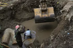 Para arkeolog sedang menggali dan ketika ekskavator menemukan sesuatu yang padat, mereka kagum dengan penemuan yang tidak biasa.