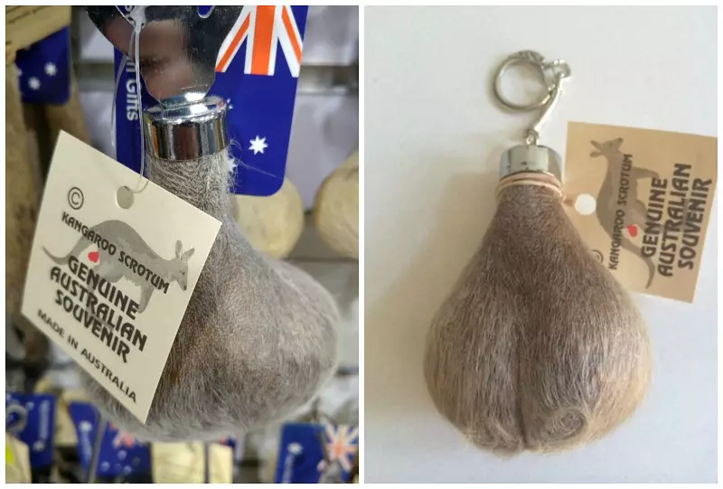 Porte-clés kangourou Australie Non, pas un kangourou entier. Seulement du scrotum de la pauvre bête. On ne sait pas qui voudrait même accrocher le scrotum de quelqu'un à ses clés, mais ils disent qu'il y a une demande.