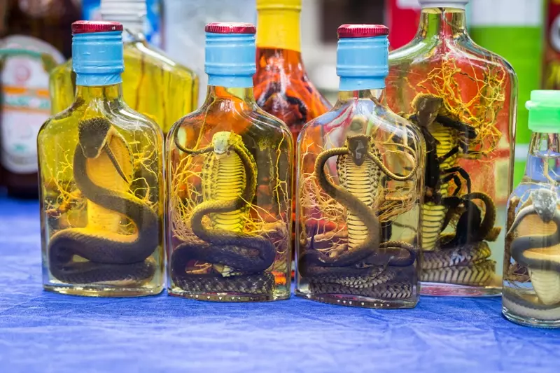 Vin de serpent Chine Dans le Céleste Empire, on pense que les boissons alcoolisées infusées de serpents venimeux ont des propriétés médicinales miraculeuses. Habituellement, la vodka de riz est insistée sur les cobras : l'éthanol dénature le venin de serpent, donc la boire n'est pas du tout dangereuse. Mais dégoûtant.