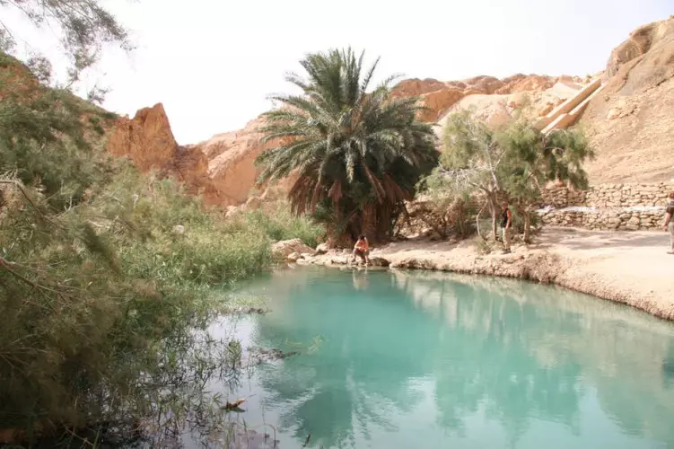 See in der Wüste Etwa 25 Kilometer von der Stadt Gafsa entfernt tauchte 2014 buchstäblich aus dem Nichts ein tiefer See auf. Beamte der Regionaldirektion für Bevölkerungsschutz führen dieses Phänomen auf seismische Aktivitäten zurück, aber seit Hunderten von Jahren gab es in diesem Gebiet keine Erdbeben mehr.