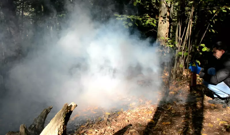 'N Kreet om hulp In die digte bos is die gille van 'n verlore persoon byna onhoorbaar. Gee 'n noodsignaal op 'n ander manier: neem uit die noodhulpkissie (wat 'n lang staptog neem sonder 'n noodhulpkissie!) 'N Tablet hidroperiet en 'n tablet analgin. Meng in 'n verhouding van 60% tot 40% en steek aan. Daar sal soveel rook wees dat jy beslis opgemerk sal word.