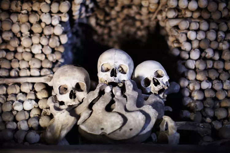 De grote steengroeven van de Parijse catacomben werden in de X eeuw aangelegd. In werkelijkheid waren eerder op deze plaats steengroeven - de muren van het Louvre en de Notre Dame-kathedraal werden opgetrokken uit de kalksteen die hier werd gewonnen. Archeologen geloven dat het gebied van de catacomben inmiddels is uitgebreid tot 11.000 vierkante meter. Hoeveel doden zijn er? Meer dan zeven miljoen.