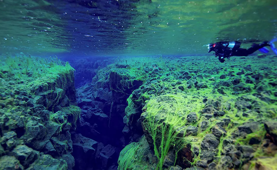 Silfra Island Der einzige Ort auf der Erde, an dem Sie zwischen zwei Kontinentalplatten schwimmen können. Der Riss der eurasischen und nordamerikanischen Platte dehnt sich jährlich um 2 Zentimeter aus - eine einzigartige Gelegenheit, das Fundament unseres Planeten mit eigenen Händen zu berühren.