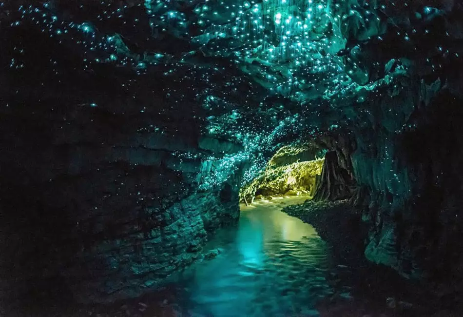 Firefly Cave, Zeelanda Berria