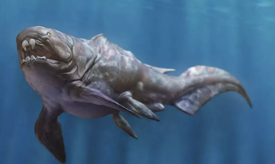 Dunkleosteus O gênero de peixes com armadura da ordem Arthrodir da classe Placoderm viveu 415-360 milhões de anos atrás, no período Devoniano. Esses foram os maiores predadores marinhos de sua época. Os cientistas não conseguiram determinar o tamanho exato dos peixes. Presumivelmente, a cabeça deles ultrapassava um metro, e o comprimento de todo o corpo era de pelo menos 6 metros, podendo chegar a 20 metros. Os dentes do peixe foram substituídos por placas de osso poderosas que desenvolveram uma pressão de 55 MPa, que é comparável a uma mordida de crocodilo.