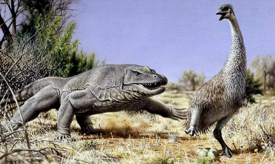 Megalania Bhí an laghairt talún is mó a raibh eolas ag an eolaíocht air ina chónaí ar an Domhan san Aga Pléistéine, ag tosú ó 1.6 milliún bliain ó shin agus ag críochnú thart ar 40,000 bliain ó shin. Dáileadh an speiceas ar fud na hAstráile. Bhí fad an laghairt idir 4.5 agus 9 m, agus shroich a meáchan ó 331 go 2200 kg. Shocraigh madraí i bhforaoisí tanaí agus savannas féaraigh agus chothaigh siad mamaigh.