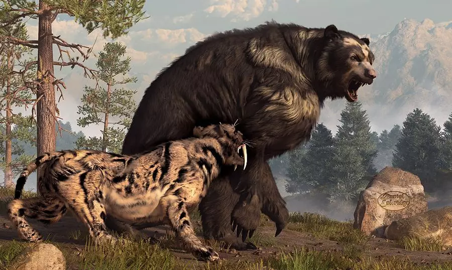 Orso dal muso corto Una specie gigante della famiglia degli orsi abitava il pianeta alla fine del Pleistocene, circa 44.000 e 12.500 anni fa. L'animale viveva in Nord America. A giudicare dai resti, l'altezza dell'orso al garrese era fino a 1,8 metri e il peso era di circa 600 kg, mentre i grandi individui potevano raggiungere i 1100 kg. L'orso cacciava grandi animali come bufali, cavalli e cervi.