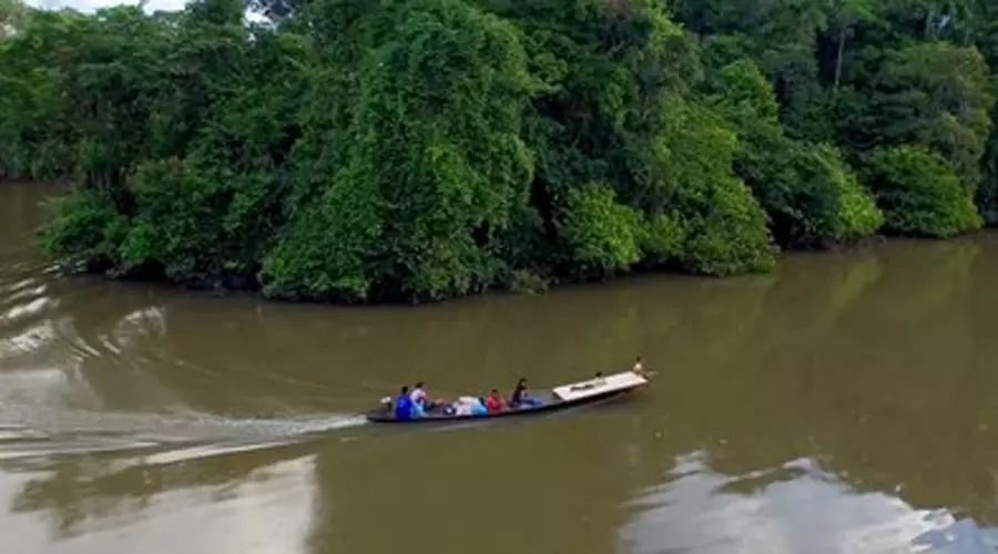 Nadar no Amazonas aqui é como enfiar a cabeça na boca de um tigre. As águas da Amazônia são traiçoeiras e os peixes locais podem assustar até a morte. E isso sem falar das sucuris, cobras enormes capazes de partir uma pessoa ao meio com o movimento de um corpo poderoso!