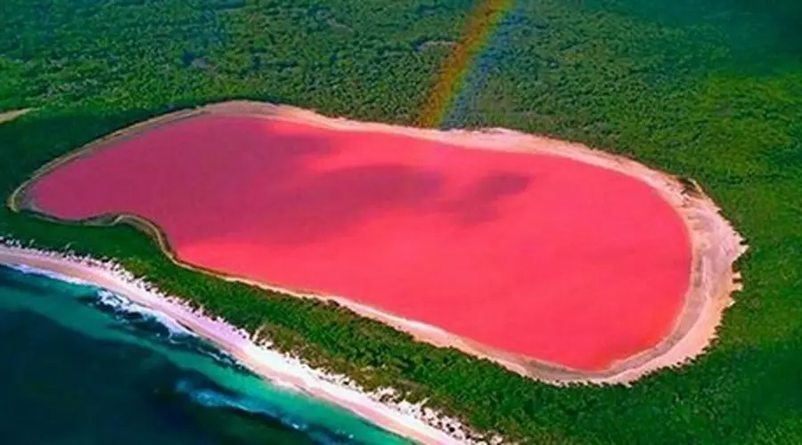 Lake Hillier Australien Wëssenschaftler verdächtegen datt d'rosa Faarf vun dësem Séi wéinst der Mikroalg Dunaliella salina ass, déi e Pigment produzéiert deen Karotenoiden heescht. Och wann de Lake Hillier en héije Salzgehalt huet, ass et perfekt sécher an et ze schwammen.