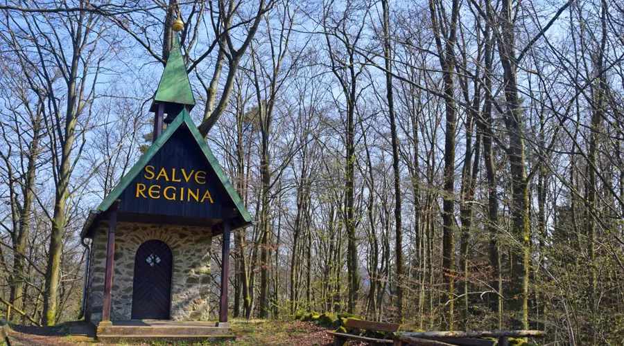 Pod križem Med raziskavo se je nenadoma izkazalo, da so številne evropske cerkve in samostani zgrajene tik ob vhodih v katakombe. Tega skoraj ne moremo imenovati nesreča. Najverjetneje so se cerkveni strežniki dobro zavedali čudnih podzemnih poti.