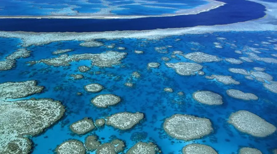 Dünyanın hər yerindən Böyük Bariyer Reef Dalğıcları, dünyanın ən böyük mərcan qayasını araşdırmaq üçün bura gəlirlər. Həyəcan yalnız son bir neçə ildə səsləndi: məlum oldu ki, turistlər təbiətin bu möcüzəsini sanki məhv edirlər. Böyük Bariyer Rifi üçün endemik olan canlılar tədricən ölür, su çirklənir və çox keçmədən (İqlim Nəzarəti üzrə Hökumətlərarası Panelə görə) Böyük Bariyer Rifinin yerində yalnız rəngli fotoşəkillər qalacaq.