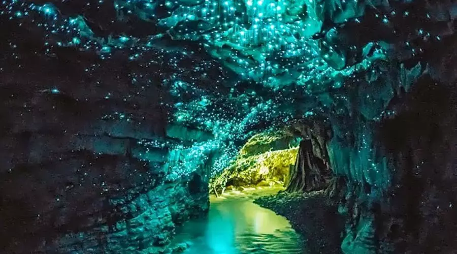 Waitomo Caves Nova Zelandija je dom enega najbolj neverjetnih naravnih čudes na svetu. Jame Waitomo so postale dom milijonov kresnic: v stalni temi oblikujejo svoj prostor na stenah jame.