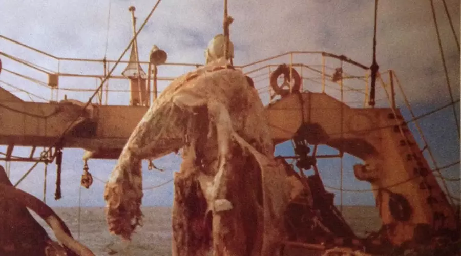 Något Nya Zeeland 1977, utanför Nya Zeelands kust, höjde den japanska fisketrålaren Tsui Maru en plesiosaur från vattnet. Tyvärr har bara detta fotografi överlevt: fiskarna tvingades kasta tillbaka den tunga slaktkroppen i vattnet.