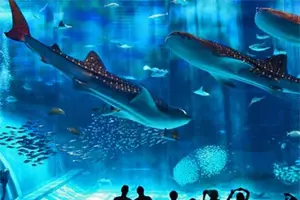 Aquariums that simply boggle the imagination