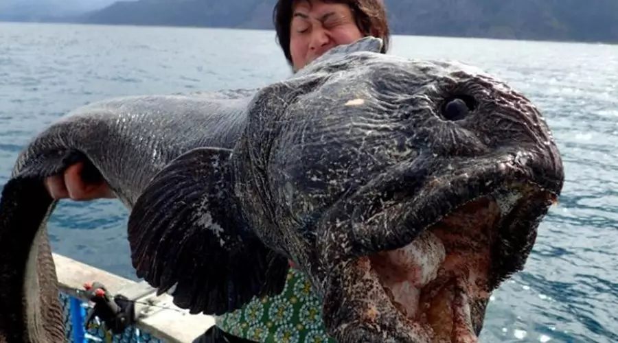 Fiskeren og fangsten er lidt ens, ikke?