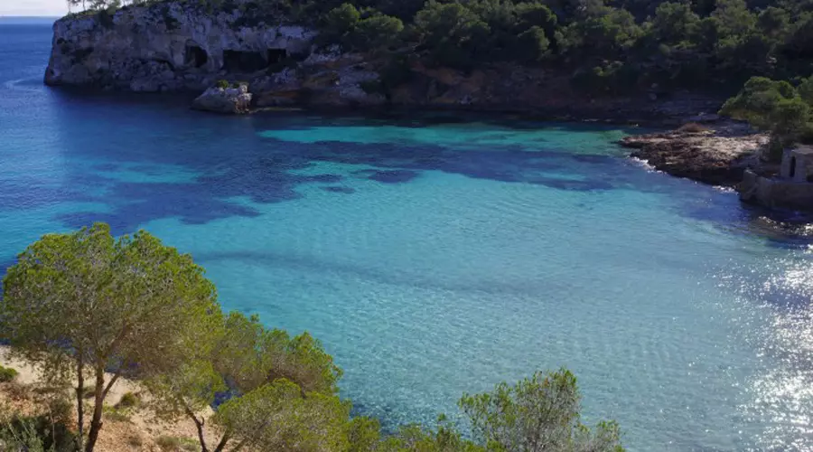 Island de Sa Porrassa Минатата година, неколку невнимателни тинејџери успеаја да уништат не само споменик, туку цел остров. Балеарските острови во Шпанија се вистинска медитеранска убавина на стероиди и треба да се третираат внимателно. Сепак, тинејџерите, па дури и шкотските, воопшто не го разбираат значењето на зборот „внимателно“. Калум и Роби, петнаесетгодишни идиоти, стигнаа до островот де Са Порас со катамаран и одлучија да пушат-и тоа и покрај абнормалната топлина и грмушките сува трева наоколу. Како резултат на тоа, целиот остров изгоре.