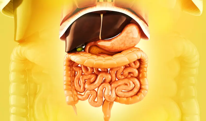 Difficile, ma possibile Una persona può vivere senza milza. Alcuni lo hanno rimosso a causa di un incidente, di una malattia del sangue o di un cancro. Questo organo non è di fondamentale importanza, come il cuore e il fegato: solo senza la milza, dovrai mantenere costantemente l'immunità con i vaccini.