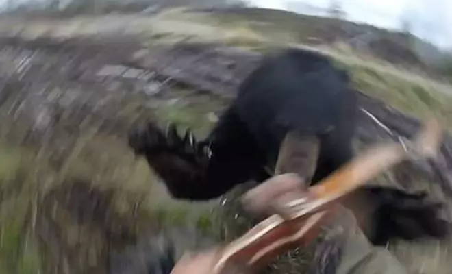 Black Bear vs Bow Hunter: Echtes Video