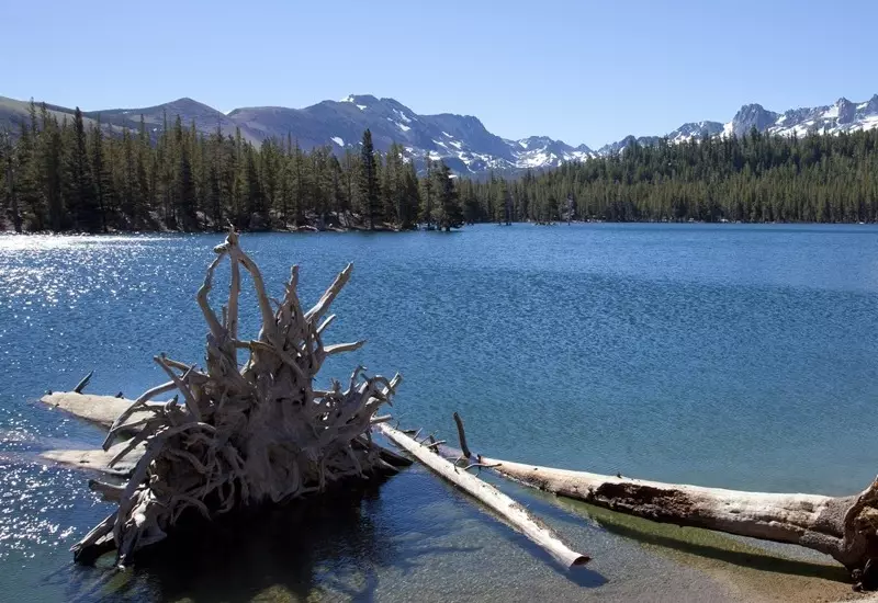 Horseshoe Lake, California La California è famosa non solo per la più grande concentrazione di miliardari per miglio quadrato, ma anche per i luoghi con una brutta ecologia. "Horseshoe Lake" è uno di questi. È noto il caso di tre forestali professionisti che, durante un'ispezione di routine, si sono avvicinati troppo al lago.