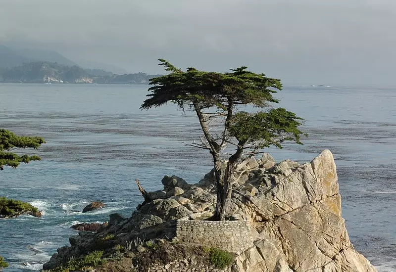 ILonely Lake, eCalifornia Indala kakhulu, inesizungu, futhi ichibi lesibili eliyingozi kakhulu eCalifornia. Ayinandlela yokuphuma olwandle iPacific Ocean, kodwa yona inosawoti futhi i-alkali yayo ingu-10 pH. Ososayensi bathole ukuthi lokhu kungenxa yamakholomu kasawoti we-limestone asele e-Ice Age. Kwesinye isikhathi izinyoni zindizela echibini - izazi zezinyoni zikholelwa ukuthi kungenxa yelukuluku nje, ngoba izinyoni zinomuzwa omuhle kakhulu wokuhogela, futhi azikwazi ukuhogela ingozi ebulalayo. Okunamandla okusinda.