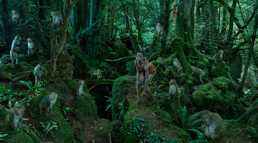 John Sebunya Uganda En 1991, un niño fue visto en un árbol con monos. Posteriormente, resultó que el pequeño John vio el asesinato de su madre por parte de su padre, se asustó y huyó al bosque, donde logró vivir durante siete años completos. Afortunadamente, fue muy posible rehabilitar al chico: John pasó dos años más en una clínica de Uganda y luego comenzó una vida independiente.