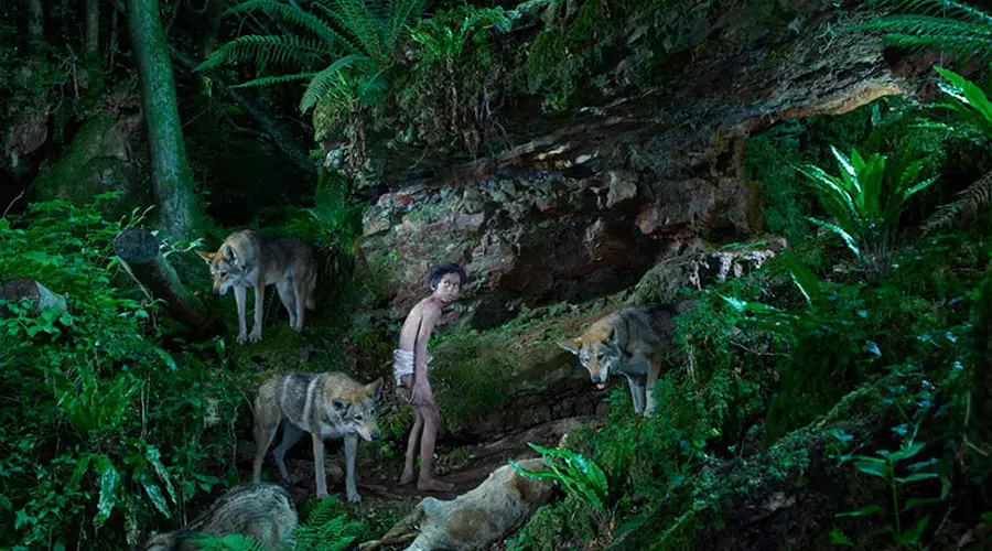 Shamdeo India Un grupo de cazadores indios atrapó a un niño de cuatro años jugando con una manada de lobos. Se comportó exactamente como los cachorros que lo rodeaban. Con el tiempo, el niño logró destetarlo de la caza de gallinas, y en el hospicio de la Madre Teresa, incluso comenzó a acostumbrarse a la gente y vivió hasta 1985. Shamdeo nunca aprendió a hablar.