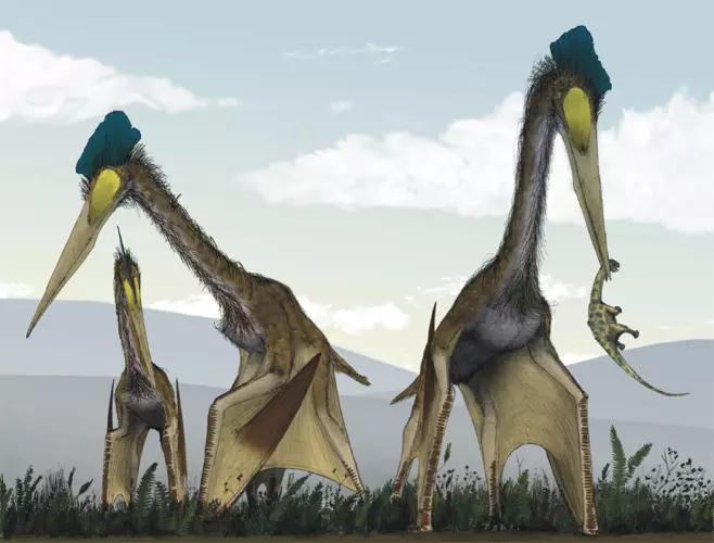 Quetzalcoatl De grutste pterosaur dy't de wittenskip bekend is. Hy hie sokke ûntwikkele spieren dat hy direkt fan it plak ôf koe, sûnder in run. Derneist binne d'r suggestjes dat quetzalcoatl in echte vampier wie, dy't it bloed fan har slachtoffers sûgde.