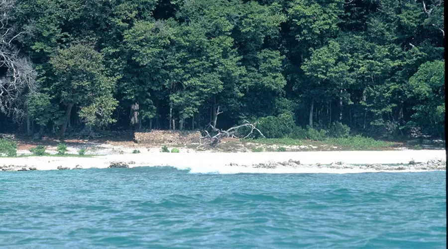 Sentinelöarna kommer bara att arrestera dig om de har tid. Mest troligt kommer den första att vara aboriginerna, som inte kommer att slösa tid på alla sorters nonsens, som domstolen, utan helt enkelt tar en nyfiken turist till spjutarna.