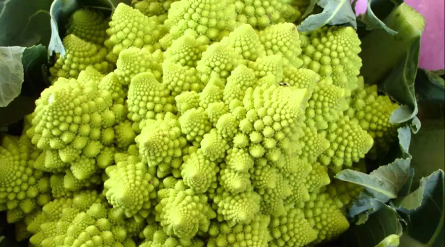 Romaneskokål Det smaker veldig likt brokkoli, men skiller seg fra sistnevnte i sitt høye innhold av karoten, mineralsalter og sink. Utad ser Romanesco mer ut som et bilde av en gal surrealist enn en grønnsak.