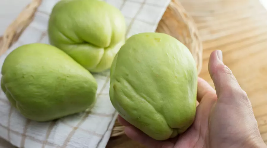 Spiselig chayote Chayote kan bare smakes på sørkysten av Costa Rica. Dette merkelige medlemmet av gresskarfamilien smaker som en soltørket tomat - lokalbefolkningen legger vanligvis den til salater etter å ha kokt den.