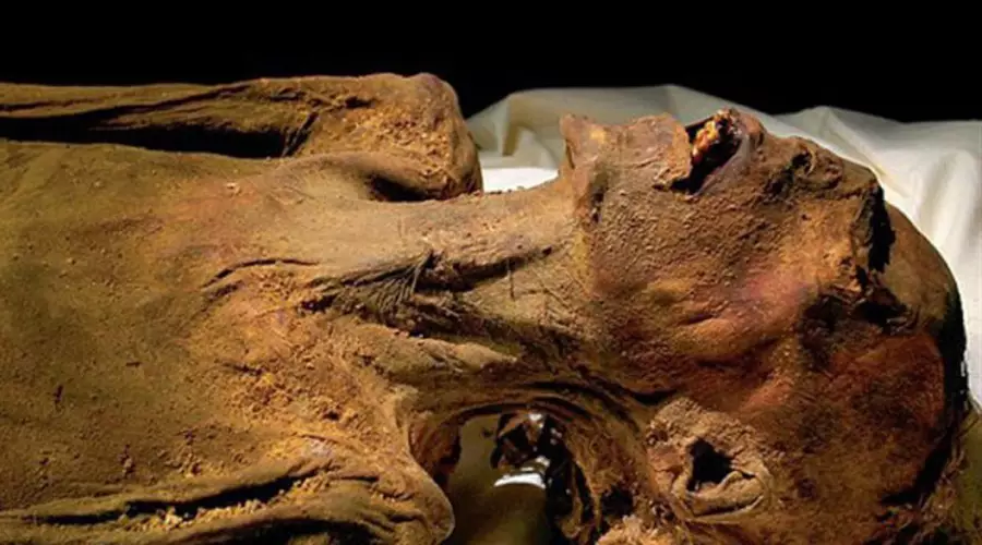 Mummies li jgħajtu Dan l-enigmu baqa 'fil-kategorija ta' dawk ta 'dejjem. Għall-ewwel darba, il-mummija "li tgħajjat" instabet mill-Eġitologu Gaston Maspero lura fl-1886. Hija kienet imgeżwer fil-ħwejjeġ tan-nagħaġ (simbolu tad-dnub u l-viċi fl-Eġittu tal-qedem). Minn dakinhar, fdalijiet simili ltaqgħu magħhom l-arkeoloġi madwar id-dinja - kollha b’ħalqhom miftuħ, u kollha mgeżwra fil-fdalijiet tal-ġlud tan-nagħaġ.